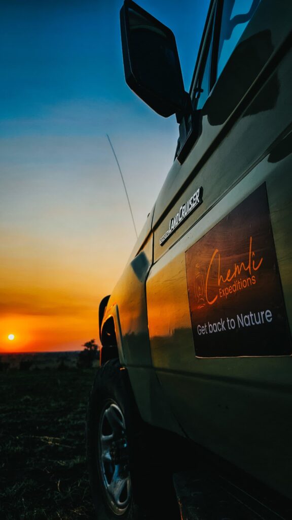 Blog » Chemli Expeditions